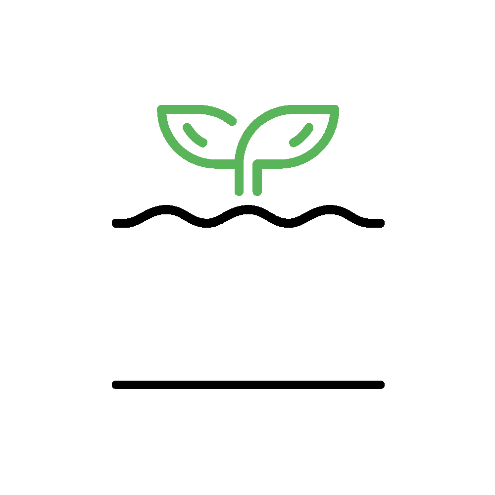 Fertiliser For Gardens – Supersoil