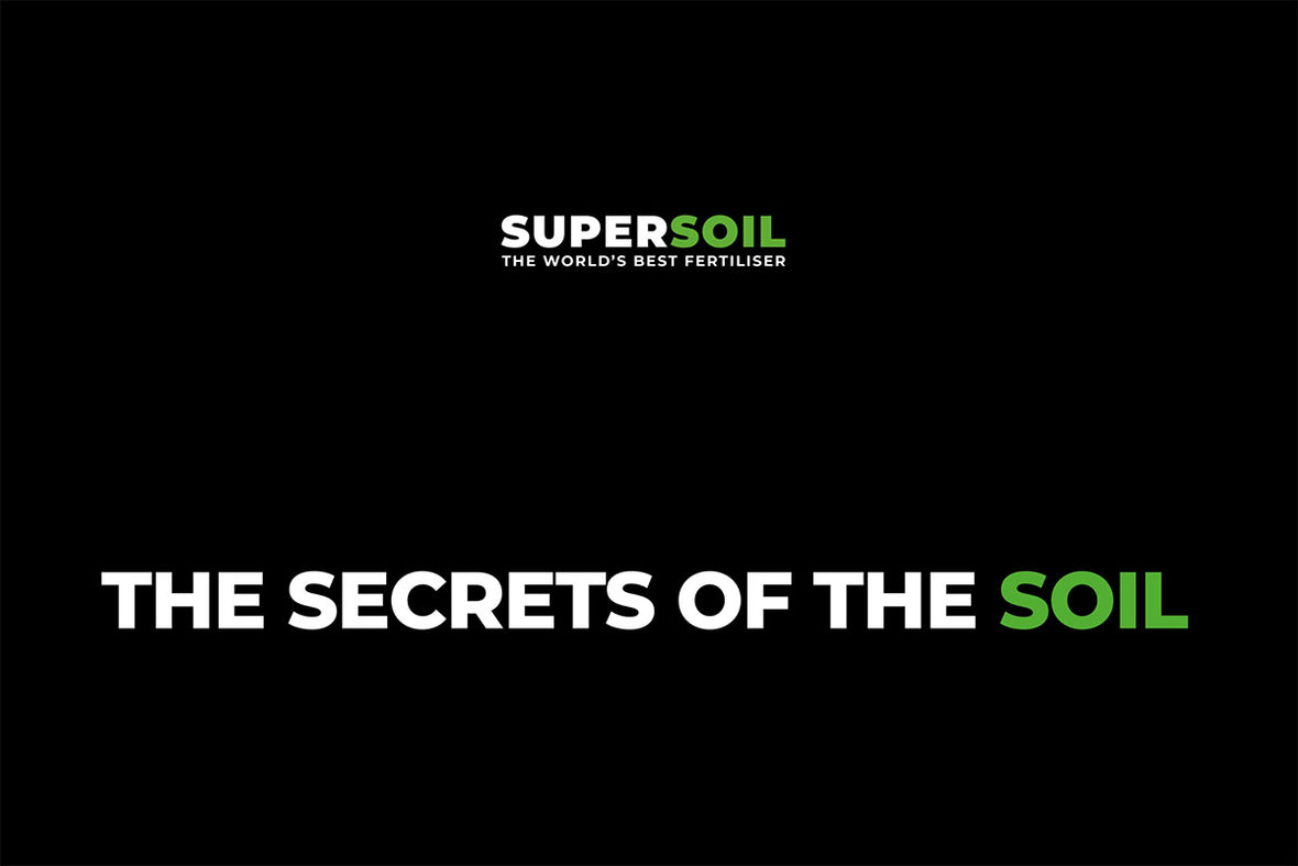Supersoil - The World's Best Fertiliser