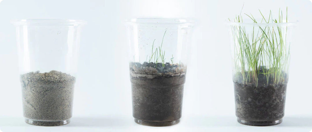 Supersoil - The World's Best Fertiliser