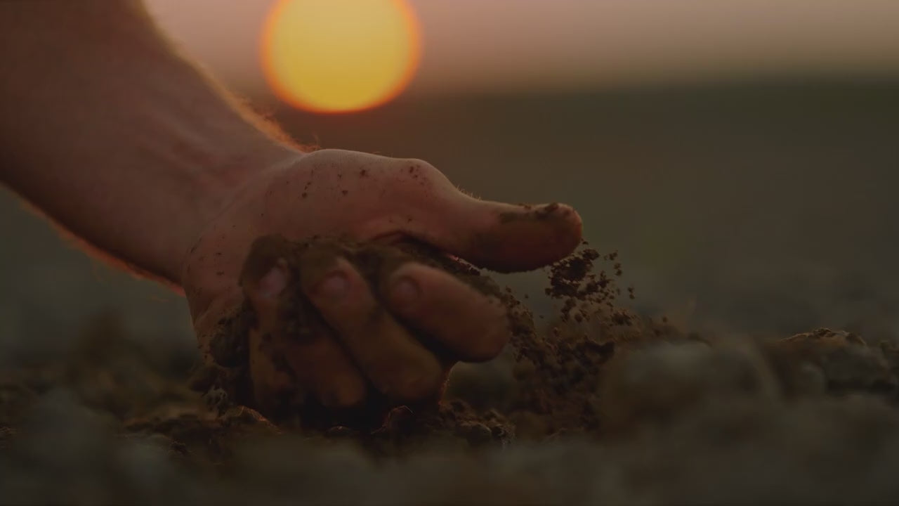 Supersoil - The World's Best Fertiliser
